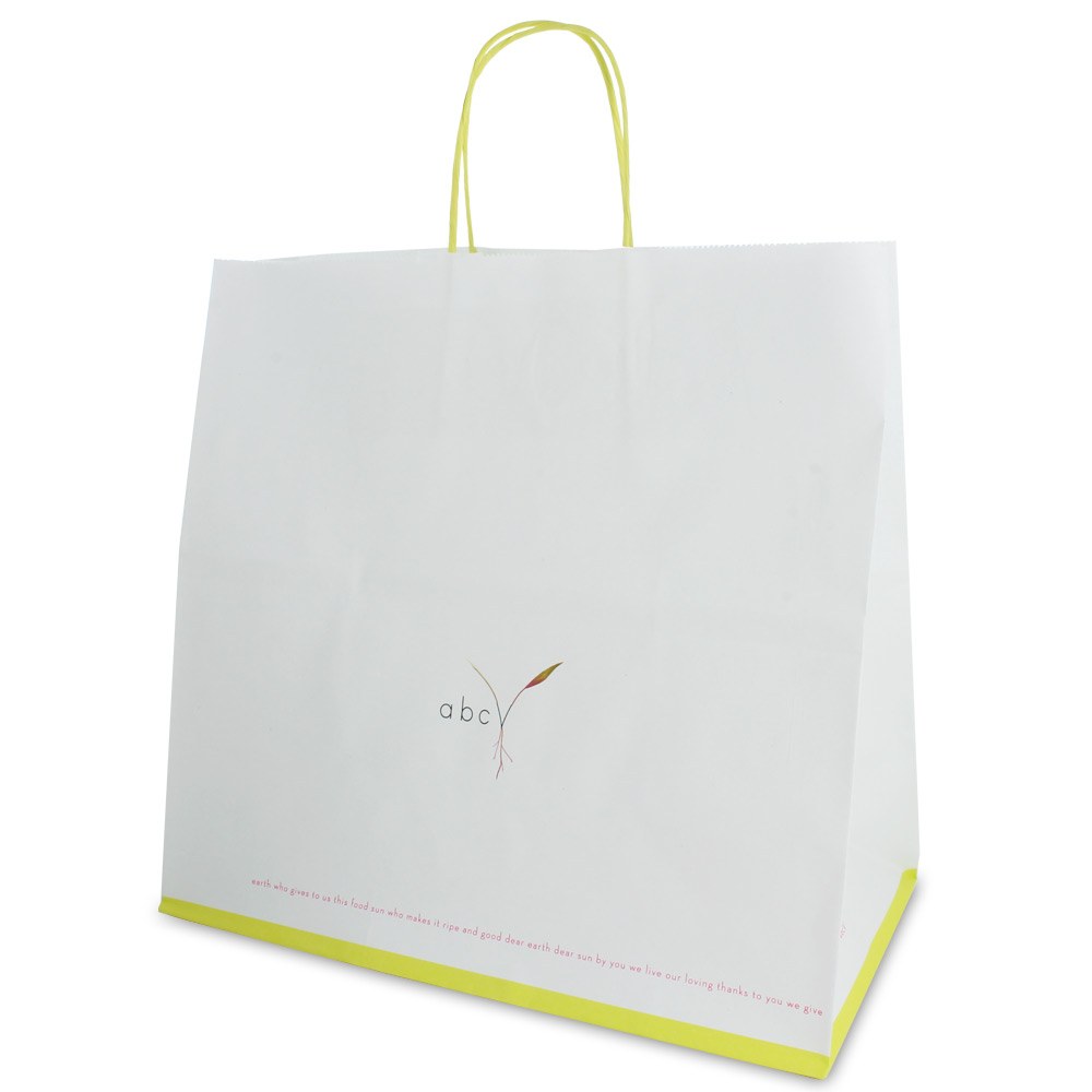 Custom Printed Paper Shopping Bags | Wholesale Custom Shopping Bags ...