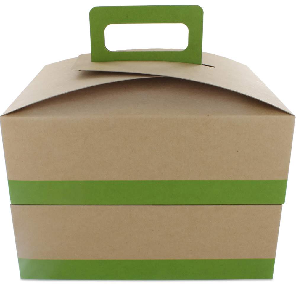 Large Citrus Green au Natural Disposable Lunch Box w/ Handle - 9 x 7 x ...